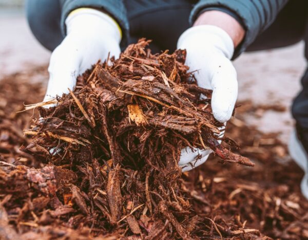 8 Common Mulching Mistakes and How to Avoid Them - Southridge Farm ...