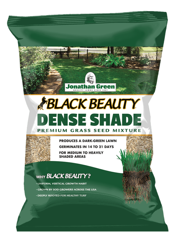 Black Beauty® Dense Shade Grass Seed - Southridge Farm & Nursery